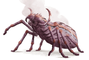 Giant Spider 5e Guide: Everything You Need to Know - Explore DnD