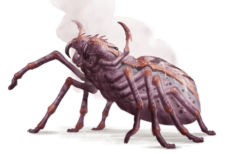 Giant Spider 5e Guide: Everything You Need to Know - Explore DnD